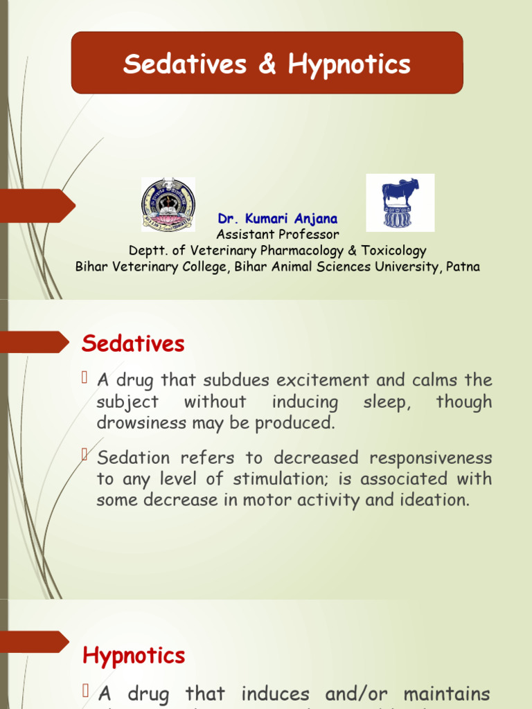 Overview of Sedatives and Hypnotics | PDF | Benzodiazepine | Drugs ...