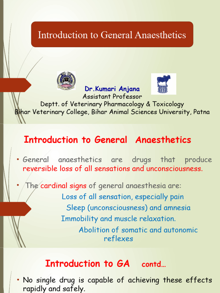 Introduction To General Anaesthetics | PDF | Anesthesia | Drugs Acting ...