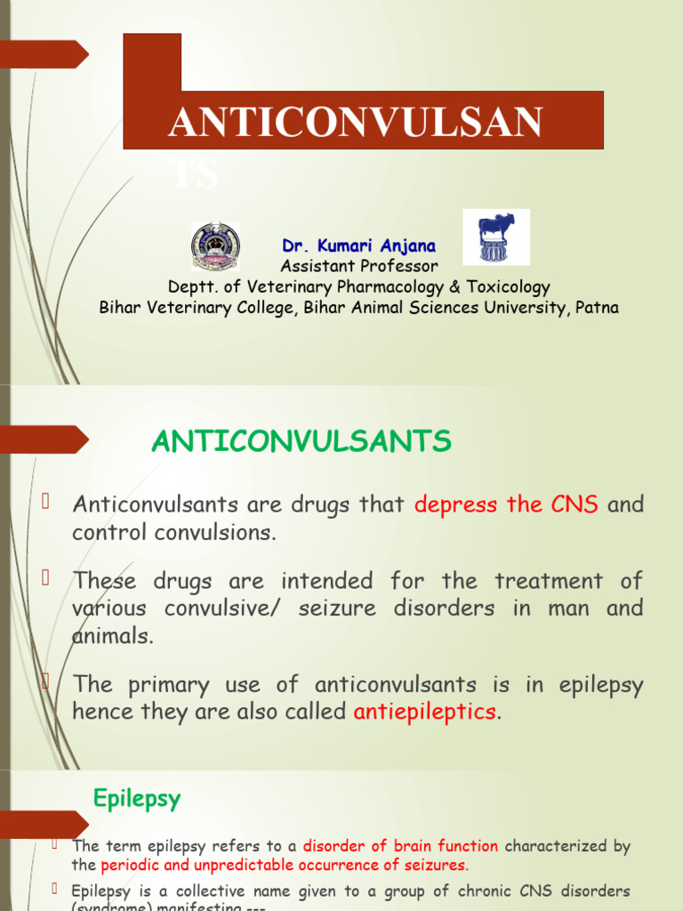 11 - Anticonvulsants | PDF | Epilepsy | Inhibitory Postsynaptic Potential