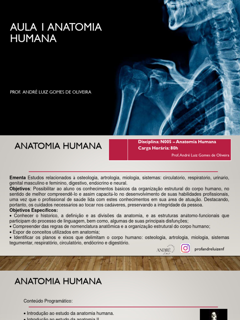 Aula 1 Anatomia Humana | PDF | Osso | Esqueleto