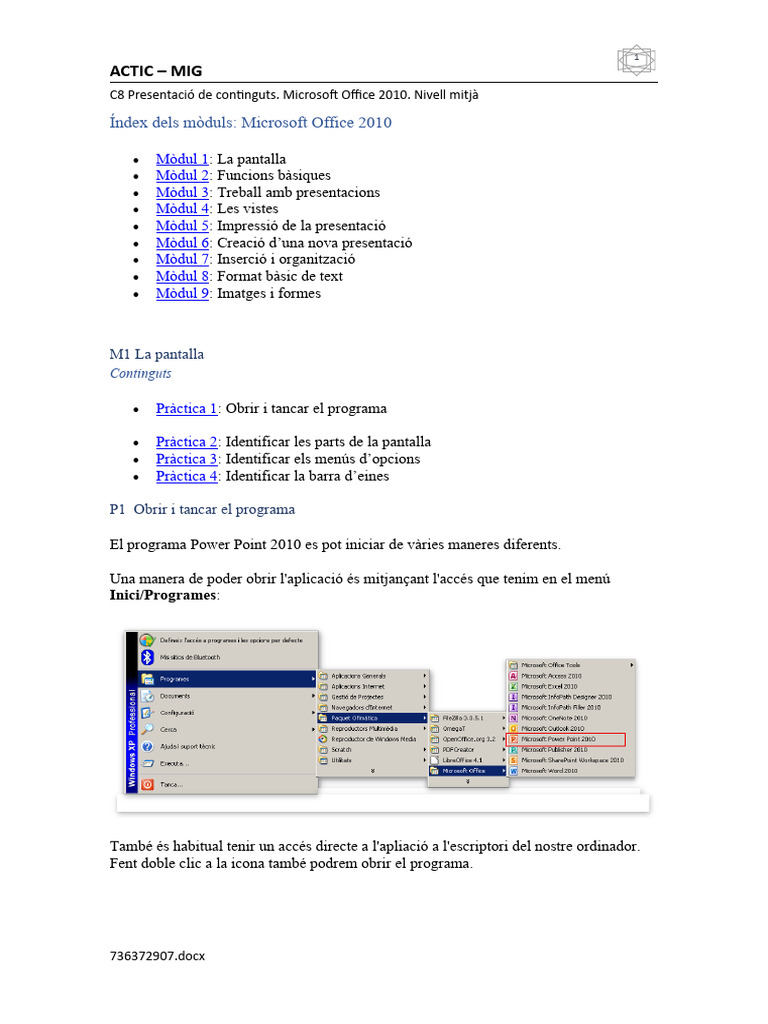 c8 Pactic Mitg - Powerpoint | PDF