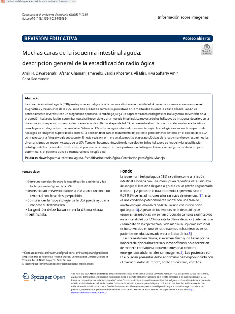 Many Faces of Acute Bowel Ischemia Overview of Rad - En.es | Descargar ...