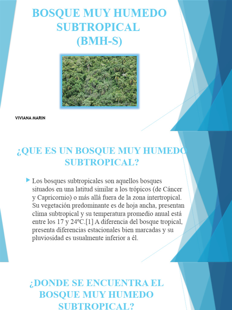 Características del Bosque Muy Húmedo Subtropical | PDF | Zona tropical ...