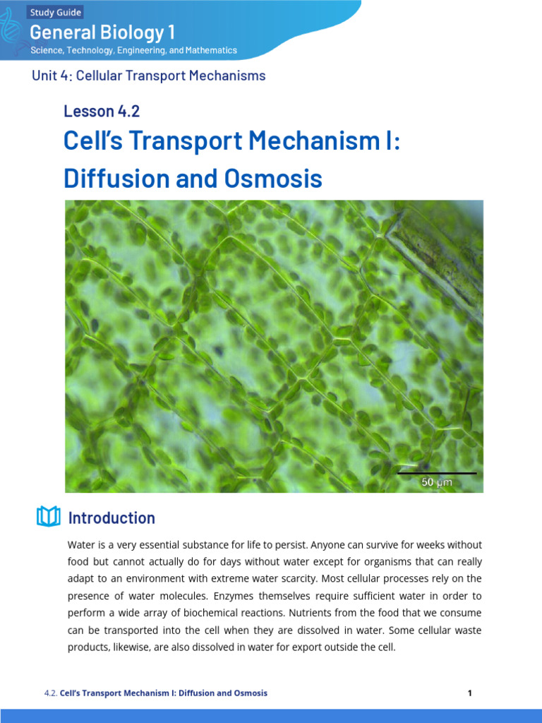 BIO2-Diffusion-Osmosis | PDF | Osmosis | Cell Membrane
