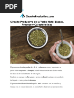 Circuito Productivo de La Yerba Mate | PDF | Semilla | Siembra