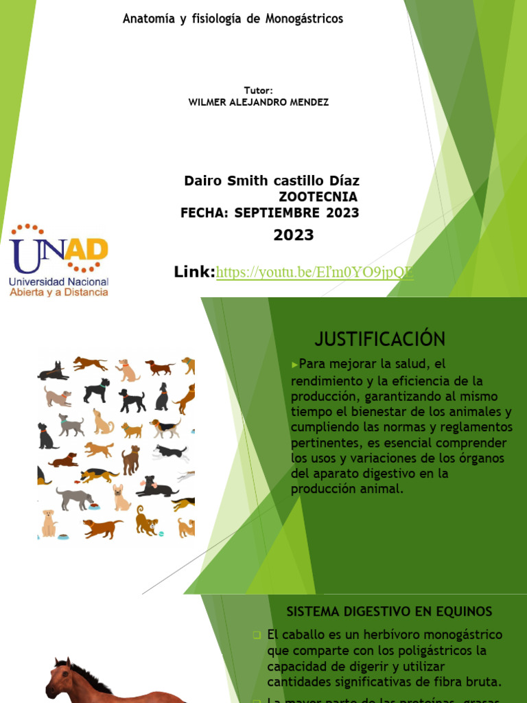 Anatomía y Fisiología de Monogástricos - Dairo Castillo | PDF | Digestión | Sistema digestivo humano