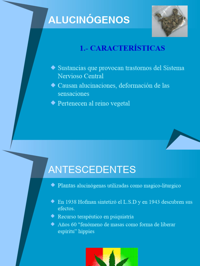 Efectos y Riesgos de los Alucinógenos | PDF | Alucinógeno | Drogas ...
