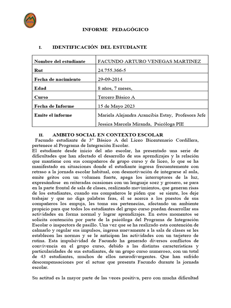 INFORME PEDAGÓGICO Facundo | PDF