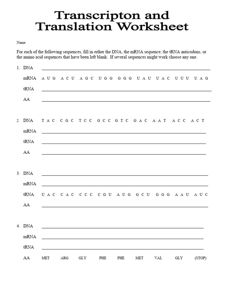 Transcription and Translation Practice | PDF