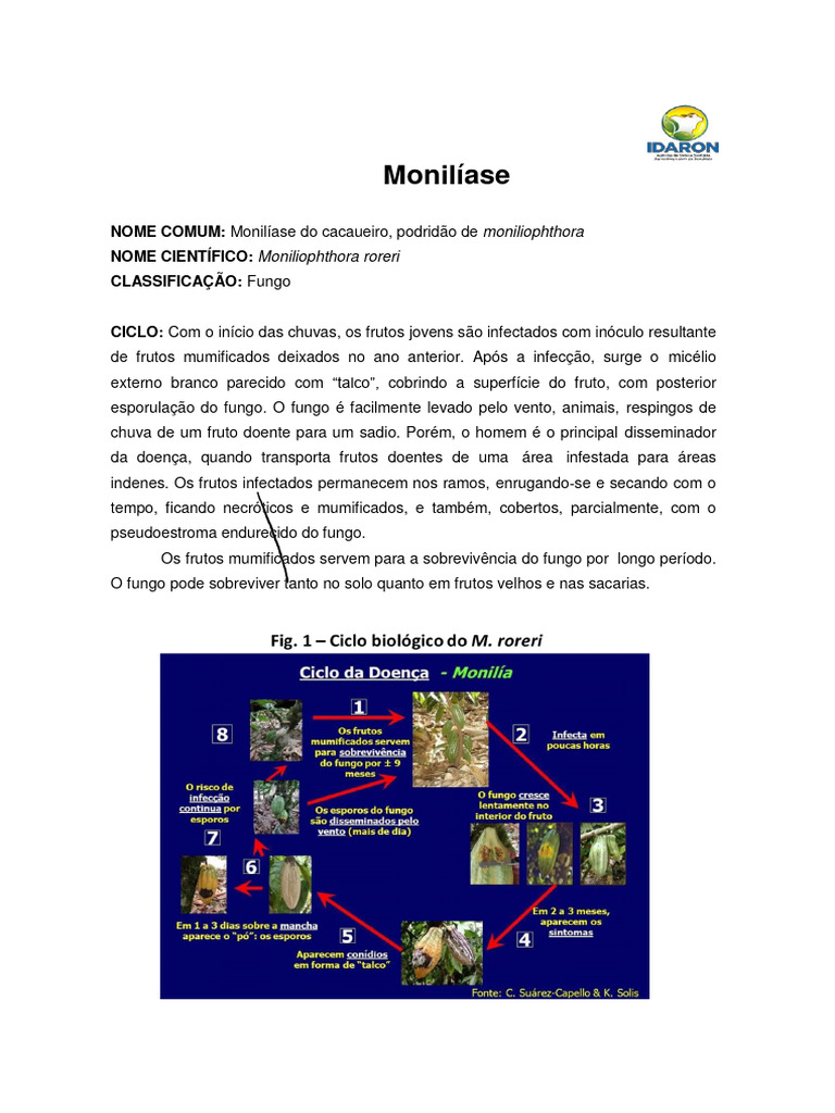Resumo Monilíase | PDF