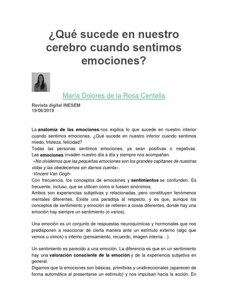 M3 Da Qué Sucede En Nuestro Cerebro Cuando Sentimos Emociones Pdf