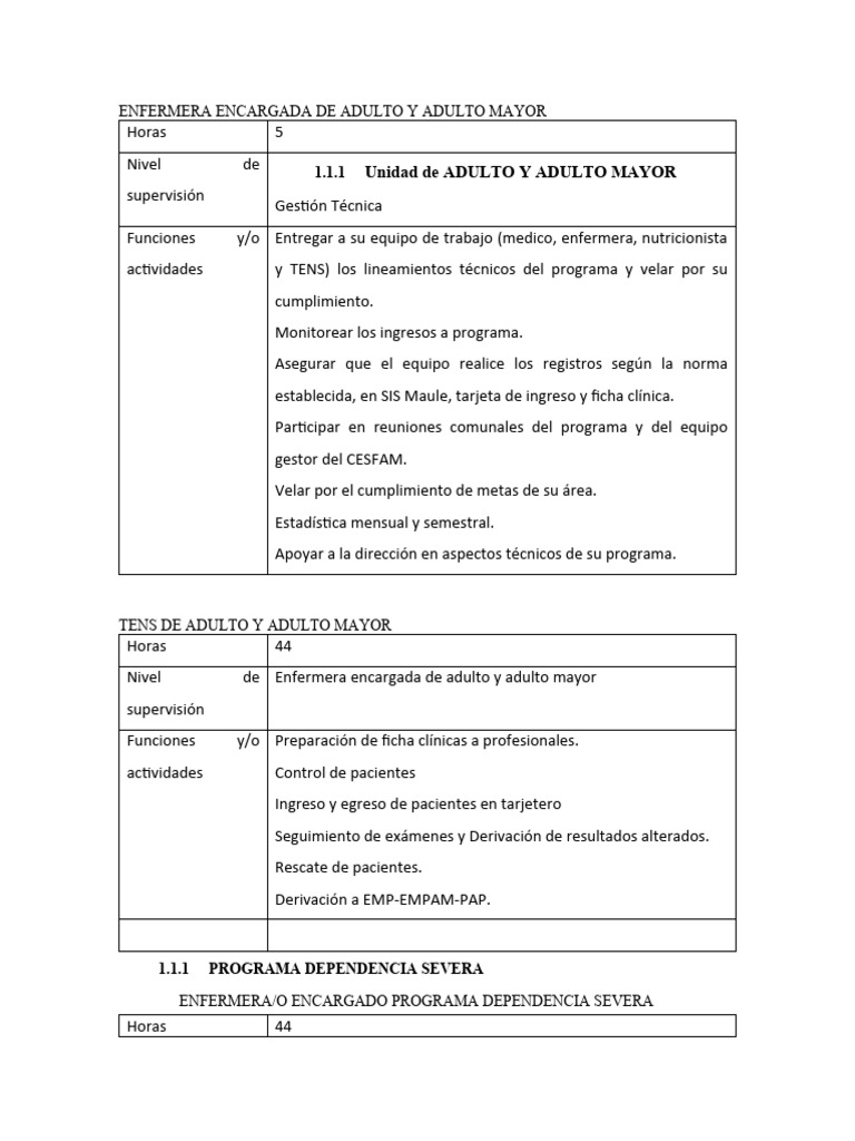 Funciones Enfermera Encargada de Adulto y Adulto Mayor, Postrado | PDF ...