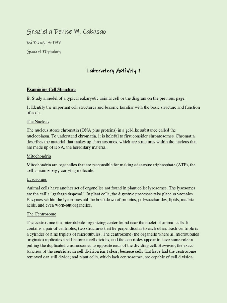 Lab Activity | PDF | Cell (Biology) | Cell Membrane