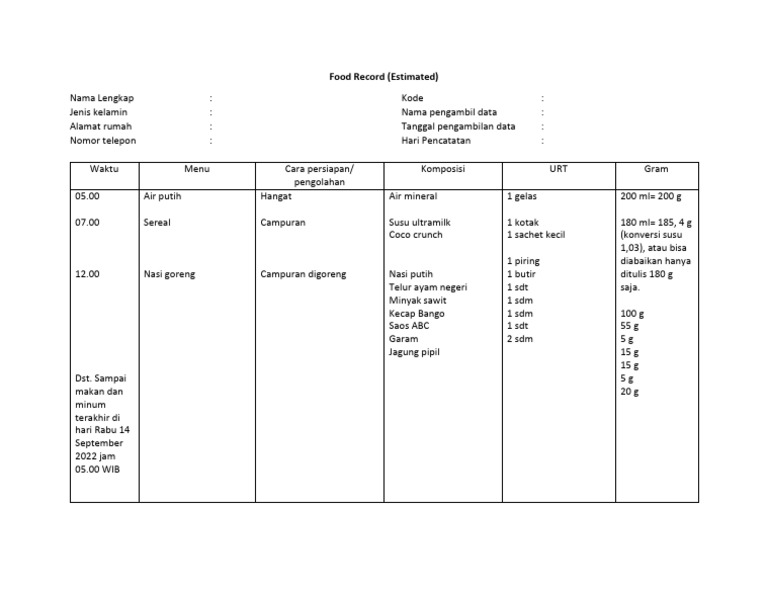 Contoh Isian Food Record | PDF