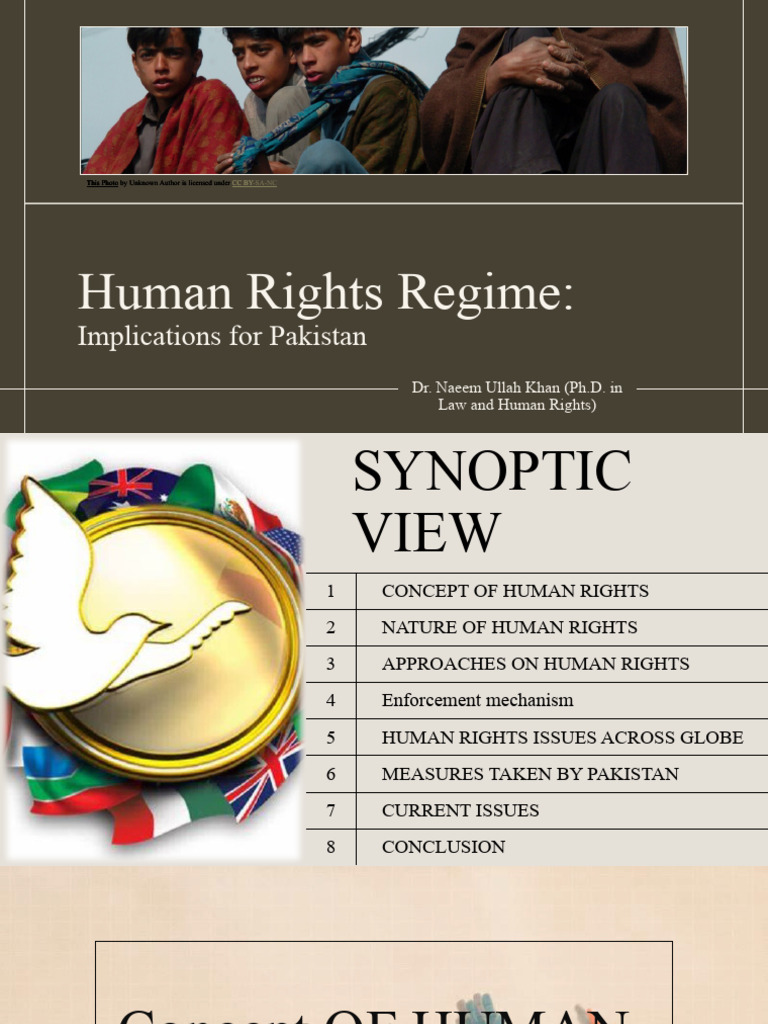 Human Rights by Sir Naeem Ullah | PDF | Human Rights | Genocides