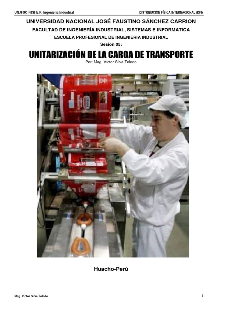 05 Unitarización de La Carga | PDF | Paleta | Transporte