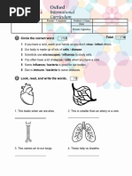 Listening - Grade 2 | PDF
