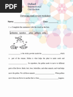 Grade 2 Listening Activity | PDF