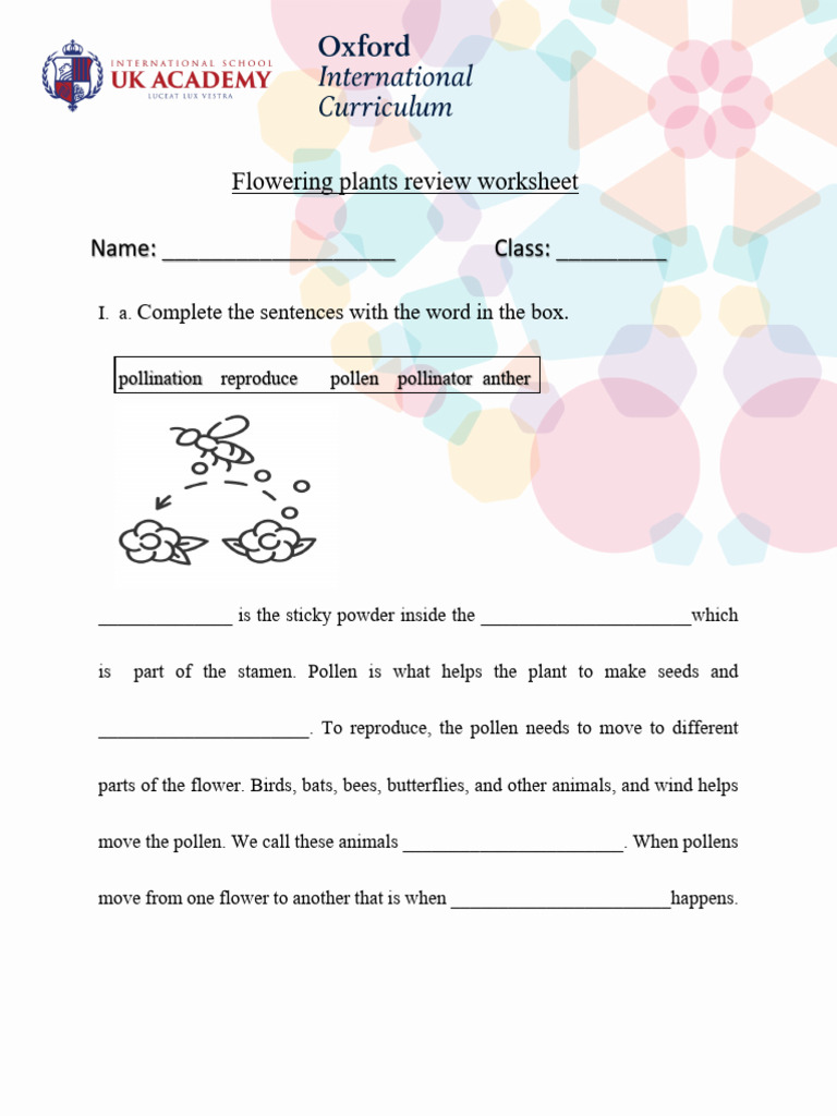 Pollination Worksheet | PDF