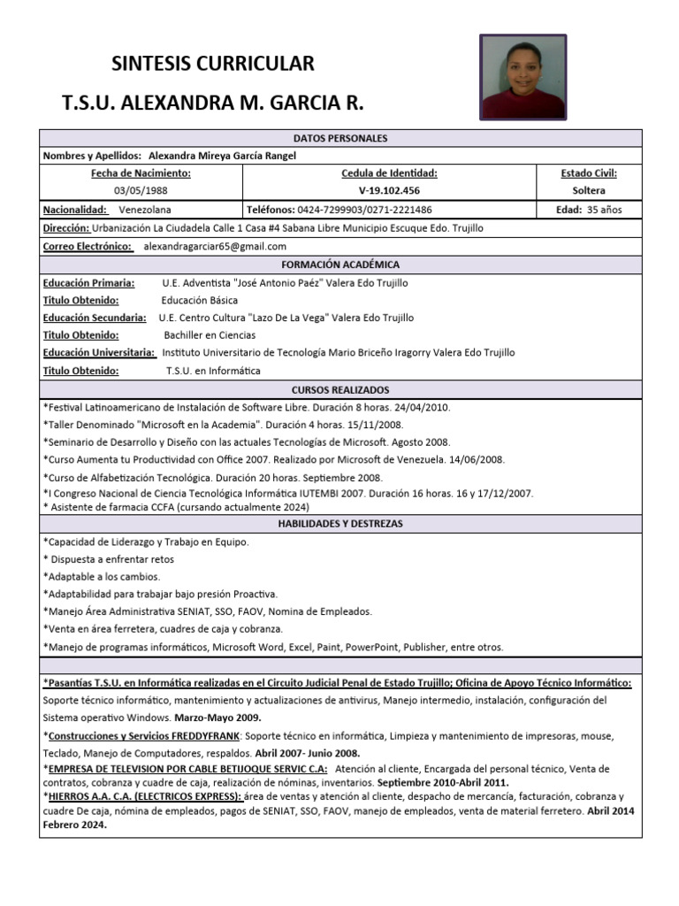 Curriculum Ale | PDF | Microsoft | Informática
