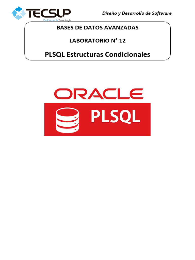 Lab12 BDAV MAMANI - mamaNI.renzo - Junior PLSQL Estructuras Condicionales 3C24A | PDF ...