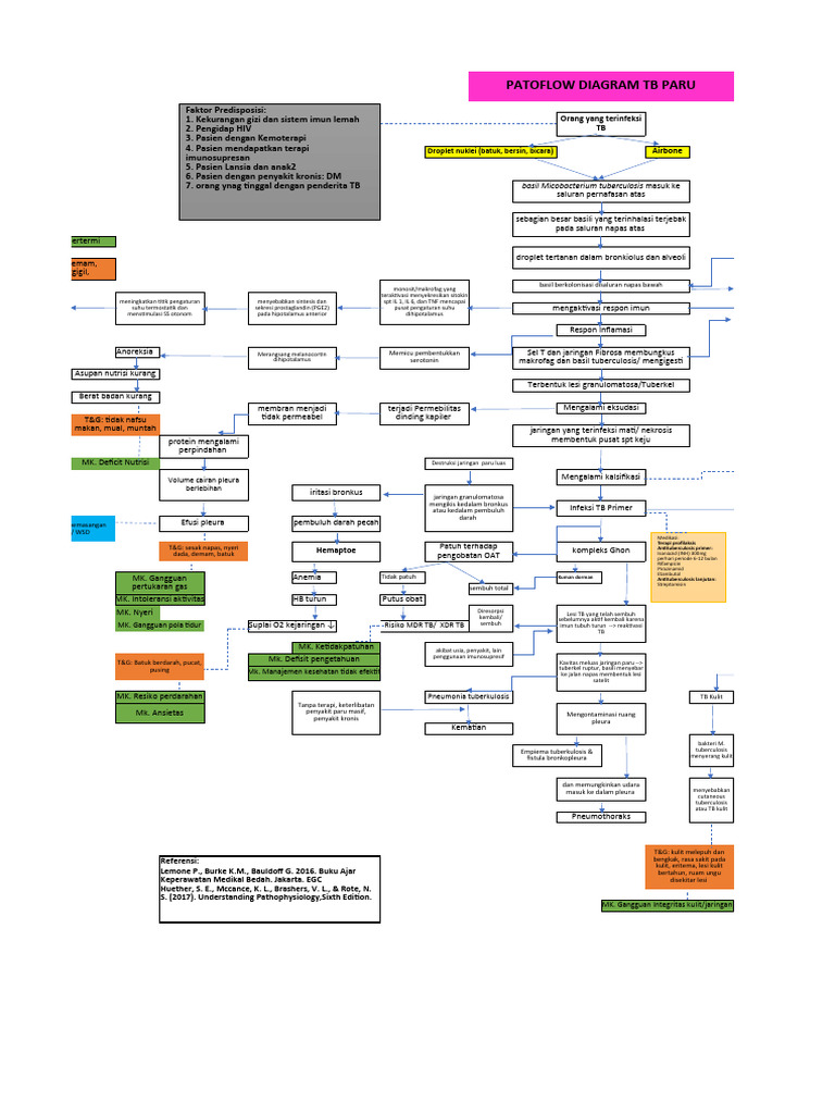 Patoflow TB Paru | PDF