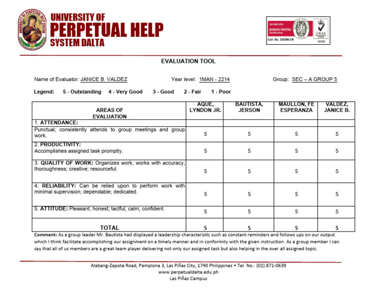 EVALUATION TOOL 2 | PDF | Psychology | Behavioural Sciences