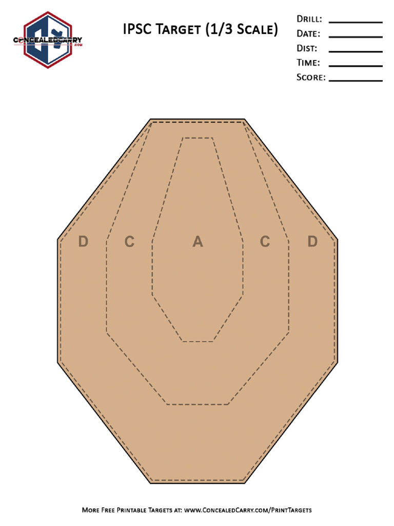 IPSC One Third | PDF