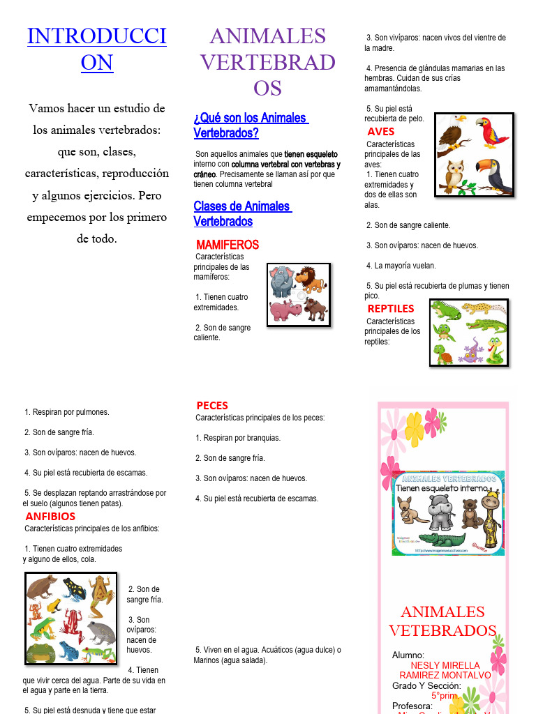 Animales Vertebrados | PDF | Vertebrados | Piel