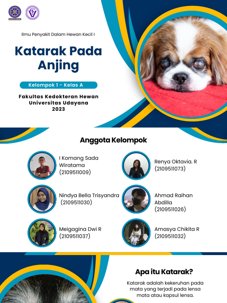 A8 - PPT Katarak Pada Anjing - Interna | PDF