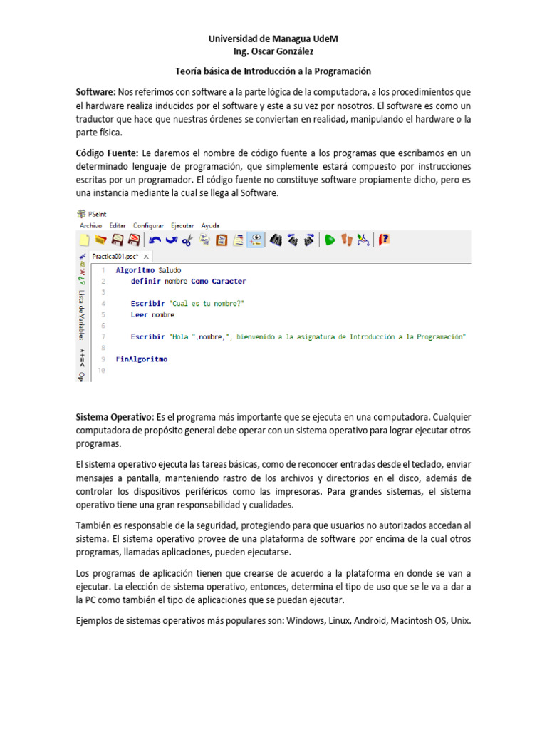 Teoría Básica de Introducción A La Programación | PDF