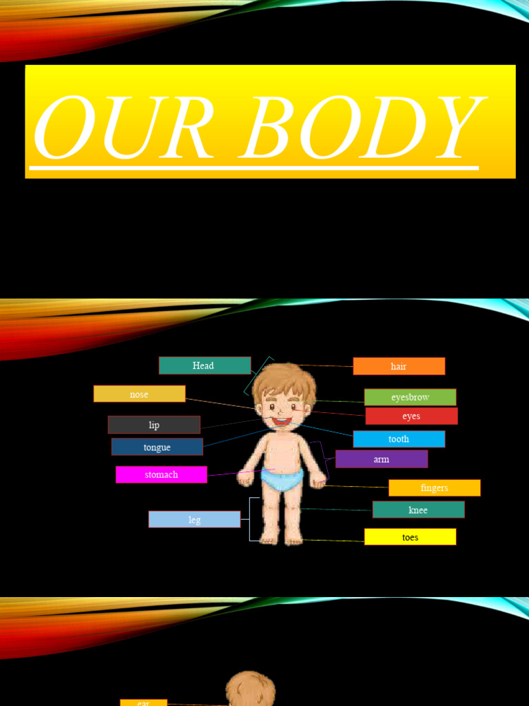 Human Body Parts Diagram | PDF | Language Arts & Discipline