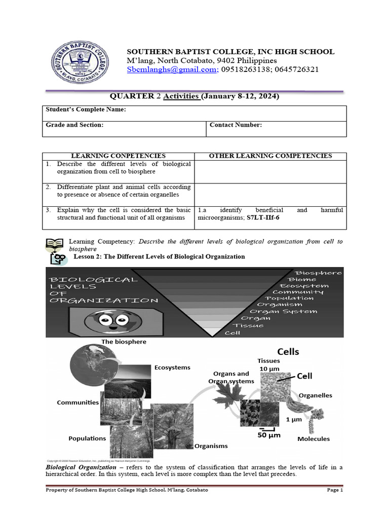 Grade 7 Science Worksheets For January 8-12-2024 | PDF | Cell (Biology ...