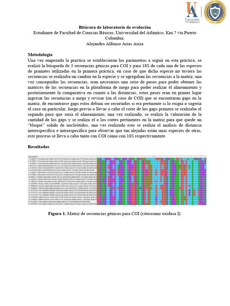Bitacora 2 de evolucion | PDF | Biología | Biotecnología
