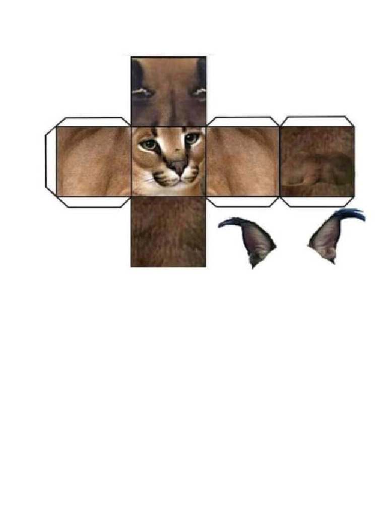 Floppa armable | PDF