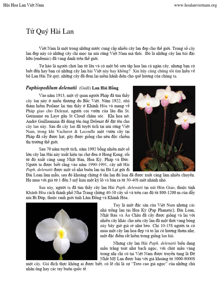 Tu Quy Hai Lan | PDF