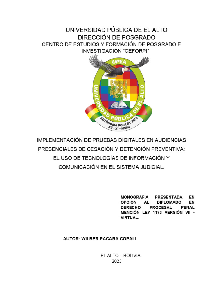 Monografía WILBER PACARA COPALI UPEA Revisado | PDF | Observación | Ley ...
