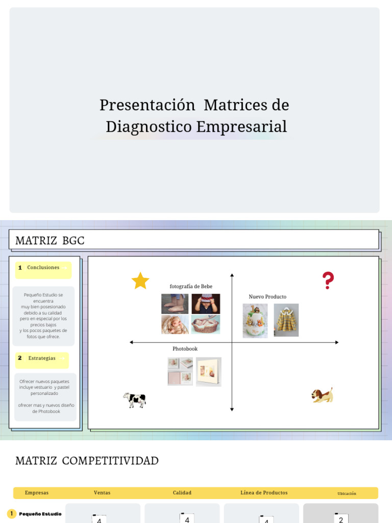 Presentacion de Matrices | PDF | Marketing | Precios