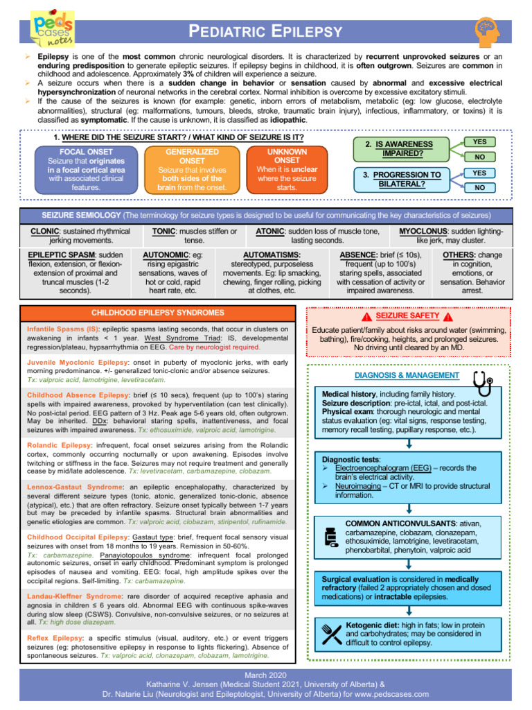 Pediatric Epilepsy | PDF | Epilepsy | Diseases And Disorders
