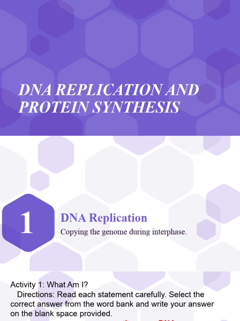DNA Replication and Protein Synthesis | PDF | Cell (Biology) | Dna