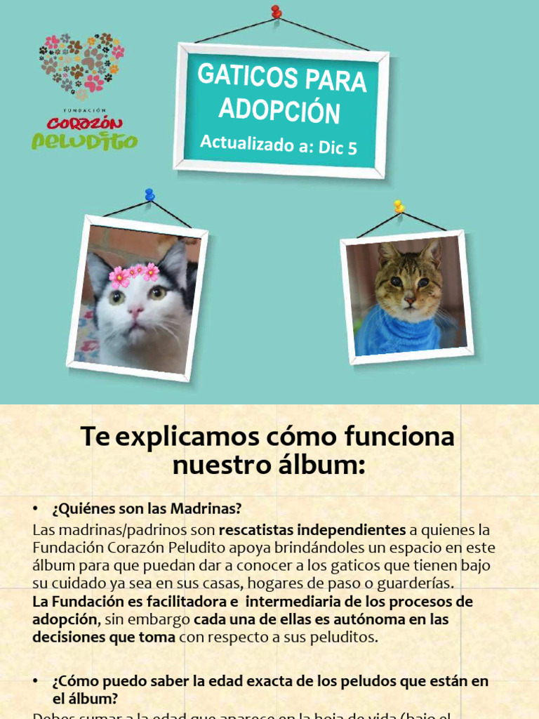 Album de Gaticos Dic 5 Comprimido | PDF | Gatos | Etnobiología