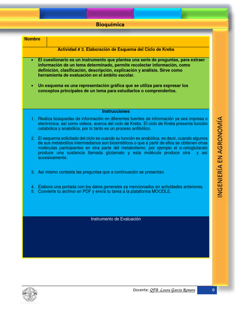 Esquema Anabólico del Ciclo de Krebs | PDF | Ciclo del ácido cítrico ...