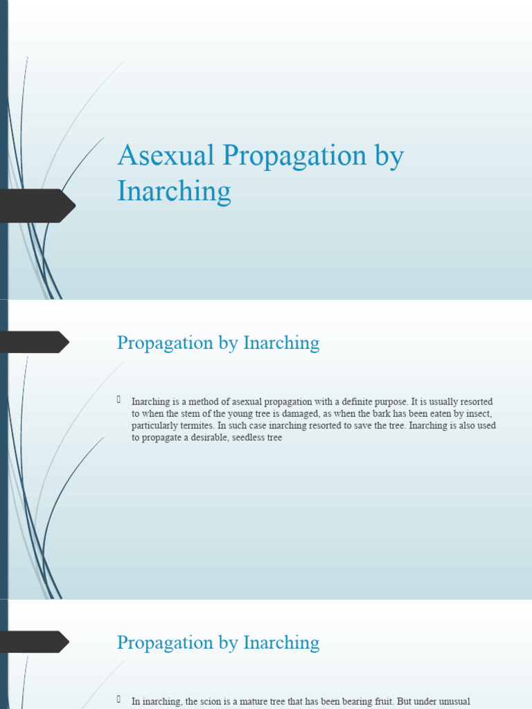 Asexual Propagation by Inarching | PDF | Grafting | Trees