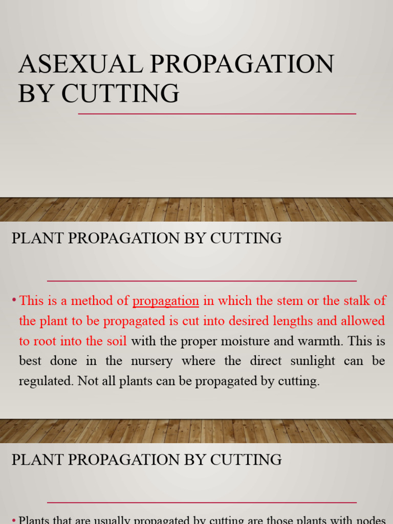 Asexual Plant Propagation by Cutting | PDF