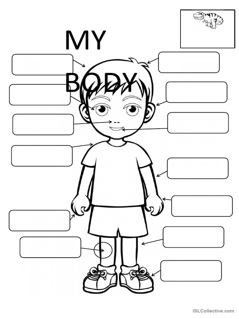 Body Parts Fill-in-the-Blank Worksheet | PDF | Career & Growth ...