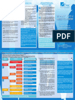 IATA Guidelines for Deportee Removal | PDF | Deportation