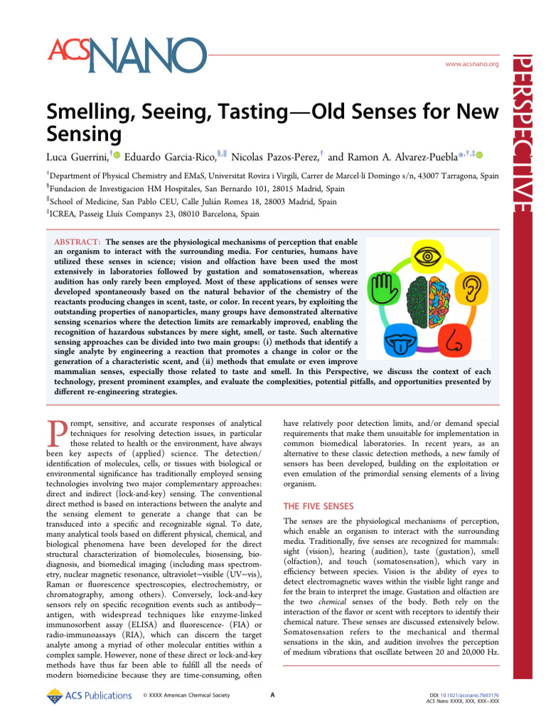 Smelling Seeing Tasting Old Senses For N | PDF | Taste | Senses