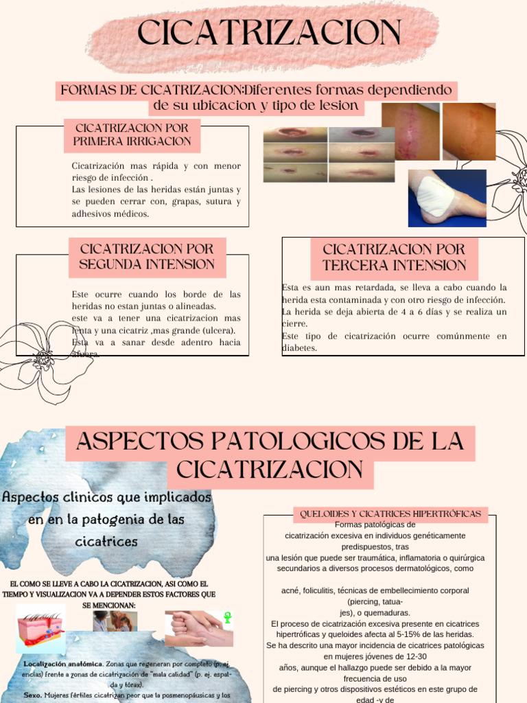 Cicatrizacion | PDF | Cicatrización de la herida | Cicatriz