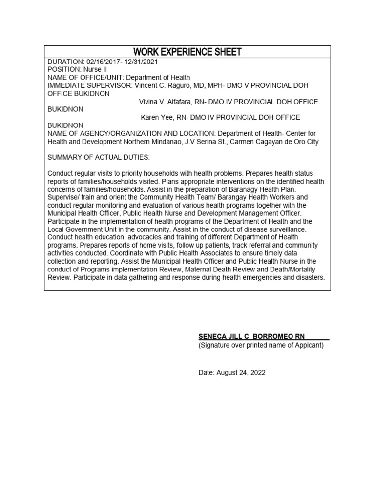 Work Experience Sheet | PDF