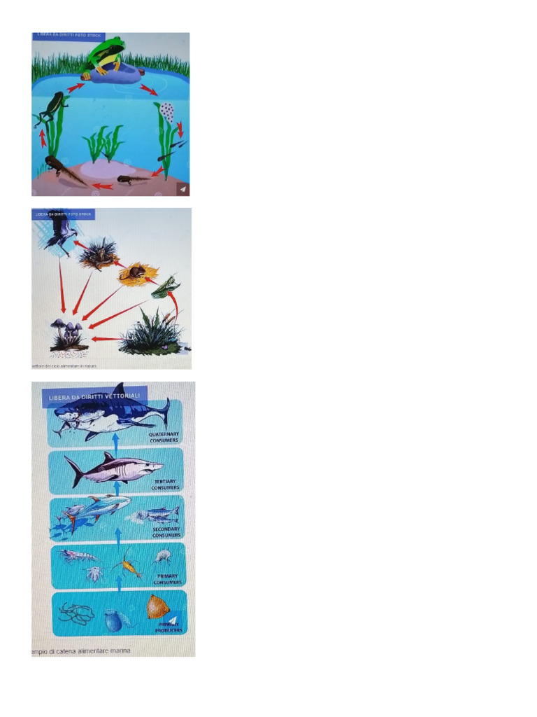 TROFIC | PDF